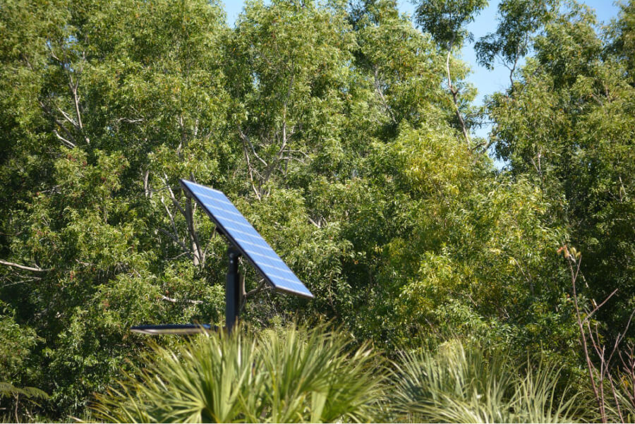 How Solar Panels Function in Shades or Under Trees